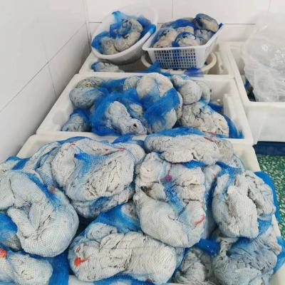 China Natural Sheep Sausage Casing 24mm Edible Dry Casing Good Air Permeability for Sausage Making for sale