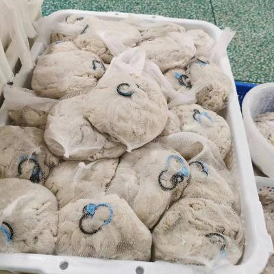 China 17-19mm Natural Goat Casings Dry Sausage Casing High Flexibility for Sausage Making for sale