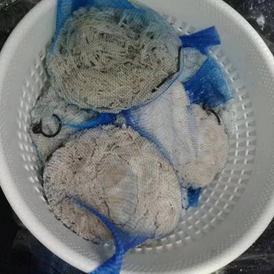 China ISO 9001 Organic Natural Salted Goat Casings High Transparency 26um Thickness for sale