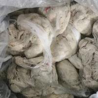 China Natural Lamb Casings 24/26mm AB Grade for Salami Sausage Food Processing for sale