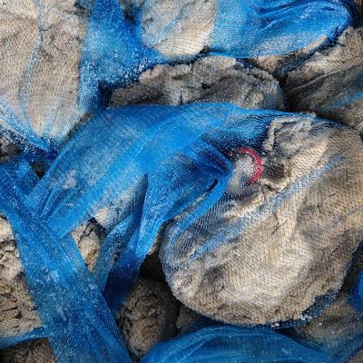 China Premium Frozen Sheep Casing 12-22mm Natural Sausage Casing IQF Halal Certified for sale