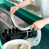 China Grade BC Sheep Intestine Casing Organic Sausage Casing High transparency for sale