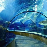 China ODM OEM Curved Tempered Glass 3mm-19mm Thickness for Aquarium & Sightseeing Applications - Maximum Size 3600mm × 18000mm for sale