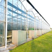 China Waterproof Tempered Glass Greenhouse with 4-12mm Glass & Powder-Coated Aluminum Frame for Energy Efficient Plant Growth for sale