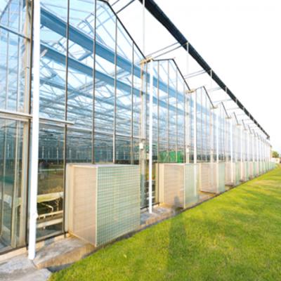 China Waterproof Tempered Glass Greenhouse with 4-12mm Glass & Powder-Coated Aluminum Frame for Energy Efficient Plant Growth for sale