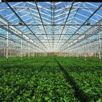 China Waterproof Tempered Glass Greenhouse with 4-12mm Glass & Powder-Coated Aluminum Frame for Energy Efficient Plant Growth for sale