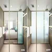 China PDLC Smart Glass 11mm with 0.5mm Film - Remote Control Privacy Glass for Office Partitions and Shower Enclosures for sale