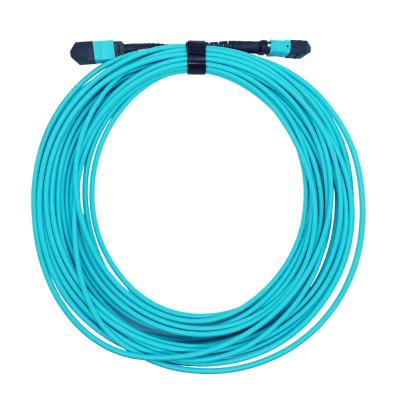 China Type B Plenum MTP to MTP Fiber Patch Cable 10M 8 Fibers OM4 Multimode for 40G/100G Networks for sale