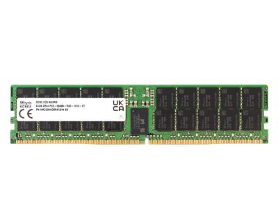 China SK hynix HMCG94AGBRA181N 64GB DDR5-5600 ECC RDIMM Server Memory for sale