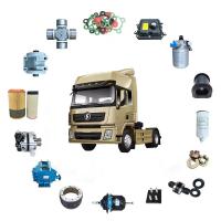 China F3000 H3000 Shacman Tractor Truck Spare Parts for Replace/Repair Top Performance for sale