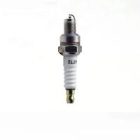 China Highly Durable Hangkai Outboard Engine Spark Plugs for 4.0HP 6.0HP 12HP18HP 30HP 40HP for sale