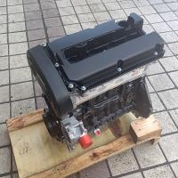 China F16D4 F18D4 Z14XER Z18XER Z16 XER Auto Engine Systems for American Car Torque 276N.M for sale