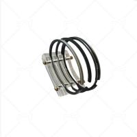 China 101.05mm Piston Ring for PERKINS 4.248 Engine Replace/Repair/Replace Purpose for sale