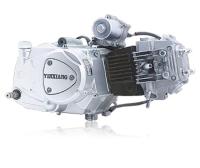 China 1 Cylinder 125cc Yinxiang Motorcycle Engine Assembly with Three Gears and Reverse Gear for sale