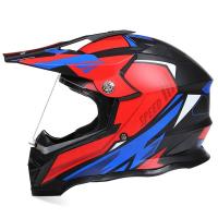 China ABS Grown Man Motorcycle Helmet for Off-road Rally and Mountain Downhill Racing for sale