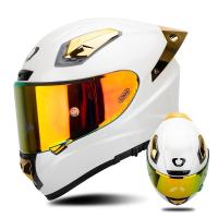 China Motorcycle Motocross Motorbike Helmets OEM Style Double Lens Helmet for Men and Women for sale