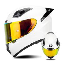 China Motorcycle Motocross Motorbike Helmets OEM Style Double Lens Helmet for Men and Women for sale
