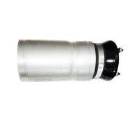 China Front Air Strut Shock Absorber Assembly for DISCOVERY IV L319 Range Rover Sport 2005-2009 for sale