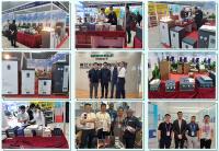 China 180HP 132KW 3 Phase Soft Starter 380V AC Motor Soft Starter with Bypass for Pump for sale