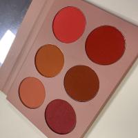 China Long Lasting Makeup Blush Palette High Pigmnet / Cruelty Free for sale