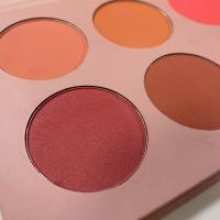 China Long Lasting Makeup Blush Palette High Pigmnet / Cruelty Free for sale
