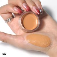 China 10 Colour Makeup Contour Palette Cream Concealer Kit Highlighter Contour Blush Palette for sale