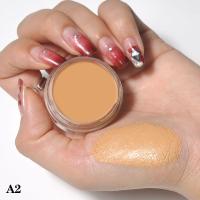 China 10 Colour Makeup Contour Palette Cream Concealer Kit Highlighter Contour Blush Palette for sale