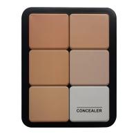China Private Label Makeup Contour Palette Long Lasting  For Daily Makeup for sale