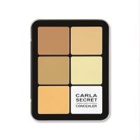 China Private Label Makeup Contour Palette Long Lasting  For Daily Makeup for sale