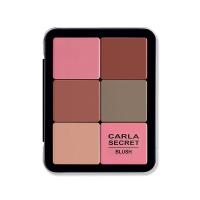 China Private Label Makeup Contour Palette Unisex Creamy Blush Palette for sale
