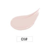 China Full Coverage Waterproof Foundation Cream 20g Long Lasting No Logo for sale