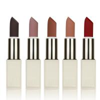 China 5 Colors Private Label Makeup Lipgloss  , Maquillage Lipstick for sale
