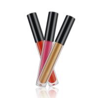 China Mineral Glitter Long Lasting Lipstick Private Label Customezied Logo for sale