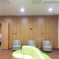 China 12mm - 25mm HPL Interior Wall Cladding Anti Bacterial Wall Cladding For Hospitals for sale