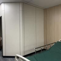 China 12-25mm HPL Anti-Bacterial Wall Cladding for Hospitals Interior Wall Panels for sale