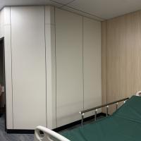 China Custom HPL Anti-Betel Wall Cladding Board Fire Resistant Water Resistant 1220x2440mm for Hospital Mall for sale