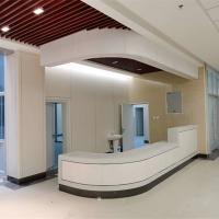 China Hospital HPL Wall Panel 12mm-25mm Matte Wood Grain Antibacterial Wallboard for Hanging Cleaning for sale