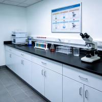 China Antibacterial Phenolic Resin Lab Worktop Chemical Resistant 140°C Customizable for sale