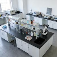 China Customizable School Lab Bench Top Compact Laminate E1 Formaldehyde Scratch Resistant 1350kg/m3 for sale