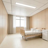 China Antibacterial HPL Hospital Wall Panel 8mm Moisture Proof Fire Rated B1 for sale