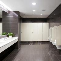 China Durable Toilet Partition Systems Customizable Bathroom Urinal Partitions for sale