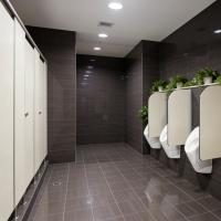China Durable Toilet Partition Systems Customizable Bathroom Urinal Partitions for sale