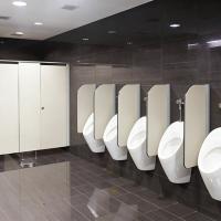 China Durable Toilet Partition Systems Customizable Bathroom Urinal Partitions for sale