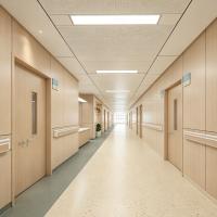 China Fireproof Antibacterial Compact HPL Wall Cladding for Hospital Interior Custom Size 8mm for sale