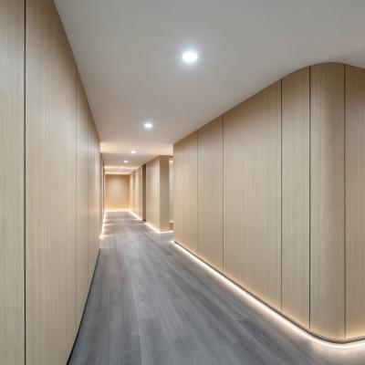China Wood Grain Wall Cladding Panels Humidity Resistant Compact Laminate Board Waterproof for sale