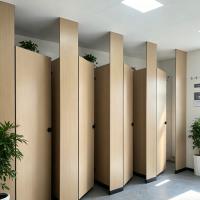 China Wood Grain Compact Laminate Toilet Partition 18mm Honeycomb Core Fireproof B1 Restroom Stall Divider for sale