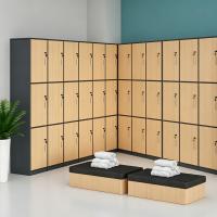 China Anti Bacterial Commercial Gym Lockers 36 Door HPL Compact Laminate Changing Room Cabinet for sale