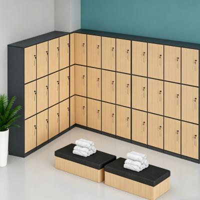 China Anti Bacterial Commercial Gym Lockers 36 Door HPL Compact Laminate Changing Room Cabinet for sale