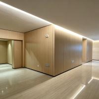 China Waterproof Wood Grain HPL Wall Cladding Panel 8mm Compact Laminate Board for Commercial Interior Walls for sale