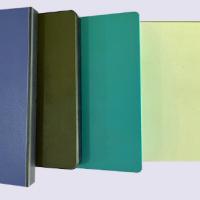 China 3D Phenolic Compact Laminate Board 8mm Matte Glossy HPL Wall Panel for Hospital for sale